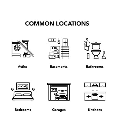 Mold Detector | WIFI Enabled Mold Monitor | BioCide Labs
