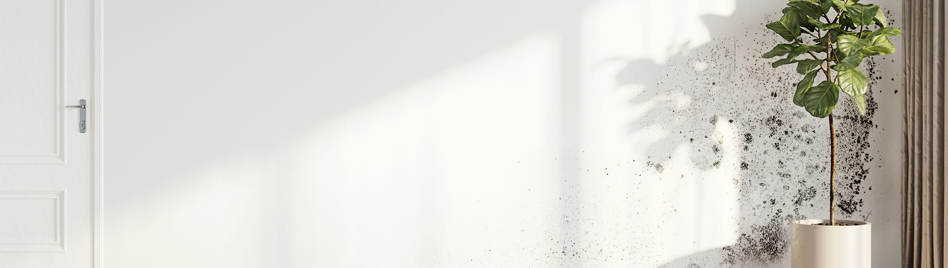 Mold Detector | WIFI Enabled Mold Monitor | BioCide Labs