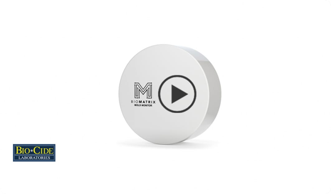 Mold Detector | WIFI Enabled Mold Monitor | BioCide Labs