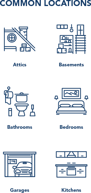 Mold Detector | WIFI Enabled Mold Monitor | BioCide Labs